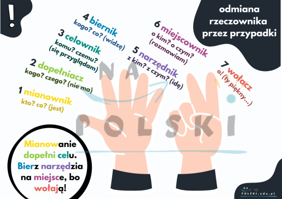 Odmiana rzeczownika przez przypadki - plansza edukacyjna | Na Polski